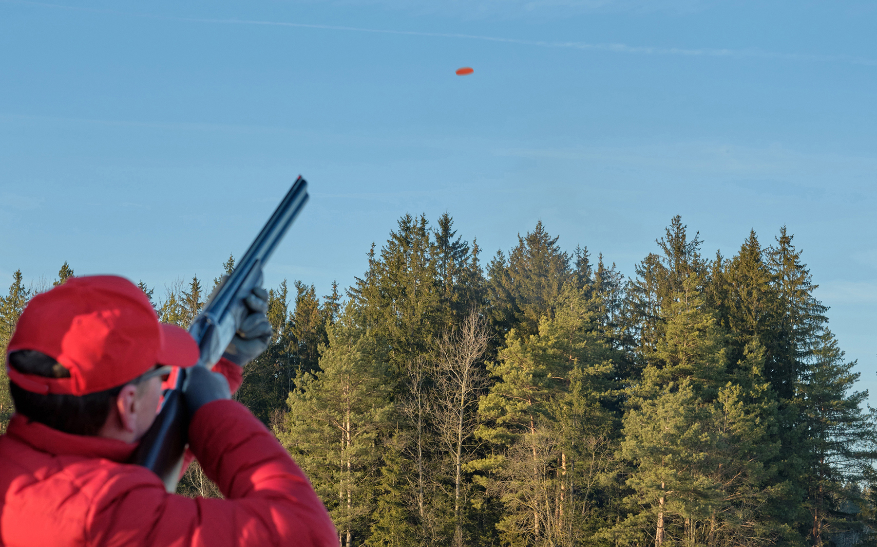 What Kinds of Targets Are Ideal for Rifle Shooting? - Angry Hornet Targets