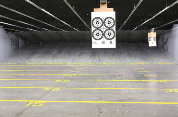 What Kinds of Targets Are Ideal for Rifle Shooting? - Angry Hornet Targets