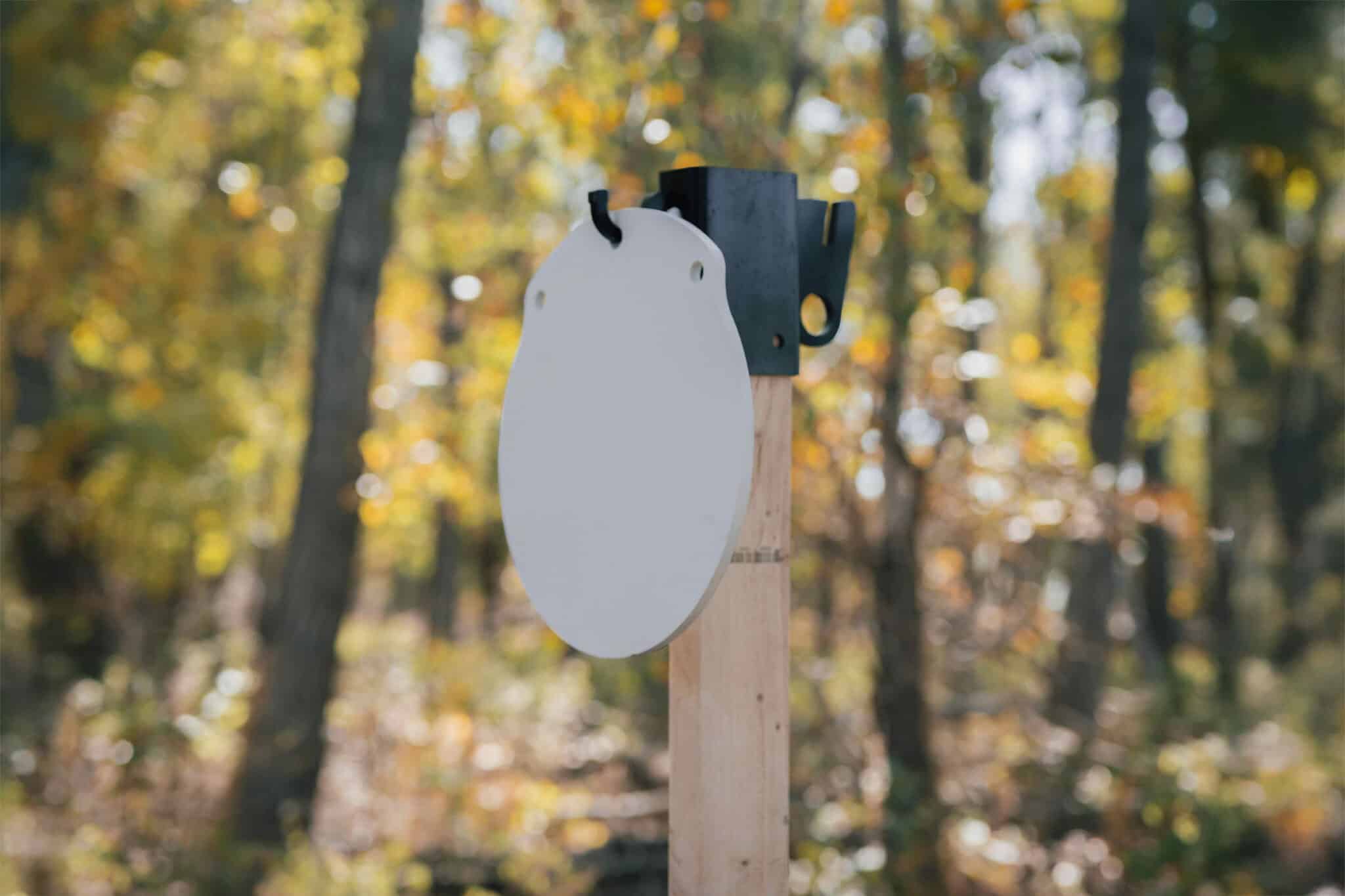 What Kinds of Targets Are Ideal for Rifle Shooting? - Angry Hornet Targets